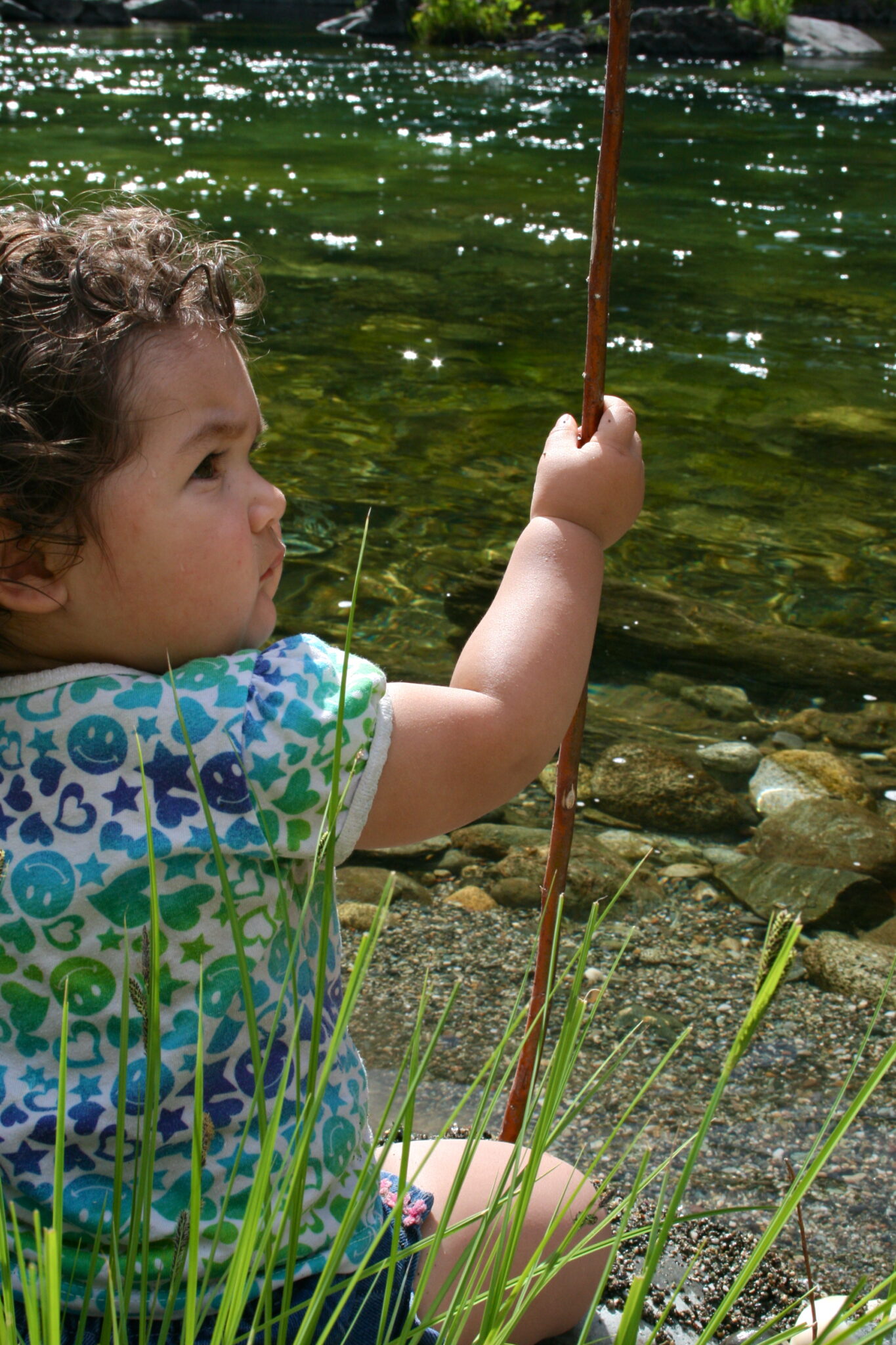 Land and Water Guardianship - Indigenous Futures Society